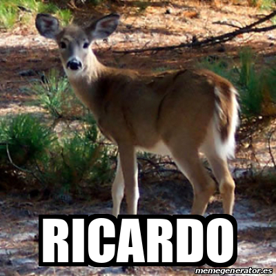 Meme Personalizado - ricardo - 31915730