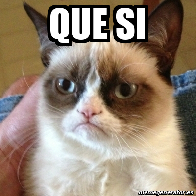 Meme Grumpy Cat - que si - 31916220