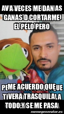Meme Personalizado - a veces me dan ganas d cortarme el pelo pero me ...