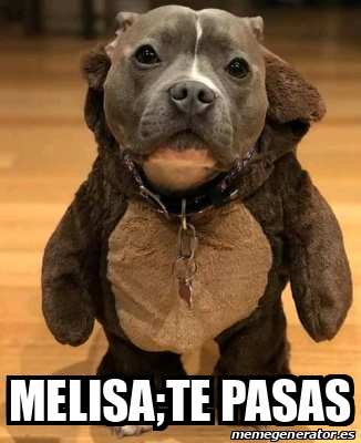 Meme Personalizado - Melisa;te pasas - 31917417