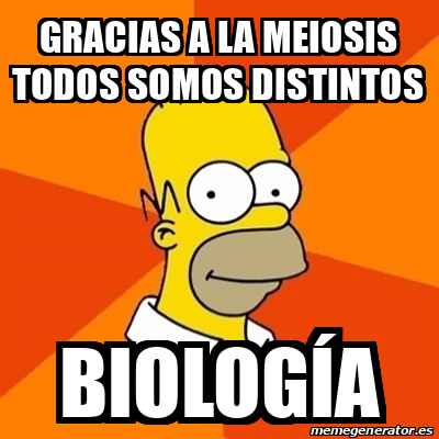 Meme Homer - gracias a la meiosis todos somos distintos Biología - 31921649