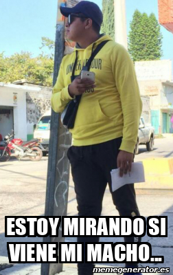 Meme Personalizado - Estoy mirando si viene mi macho... - 31922223