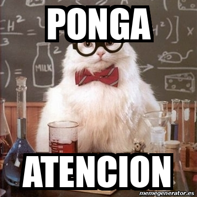 Meme Chemistry Cat - PONGA ATENCION - 31922624