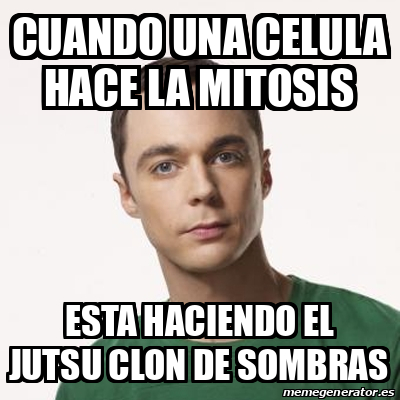 Meme Sheldon Cooper - cuando una celula hace la mitosis esta haciendo ...