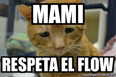 Meme Personalizado - MAMI RESPETA EL FLOW - 31923760