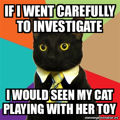 Meme Business Cat - if i went carefully to investigate i would seen my ...