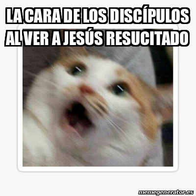 Meme Personalizado - La cara de los discípulos al ver a Jesús ...