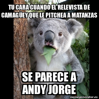 Meme Koala - Tu cara cuando el relevista de Camagüey que le pitchea a ...