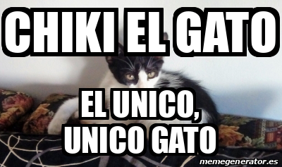 Meme Personalizado - CHIKI EL GATO EL UNICO, UNICO GATO - 31927757