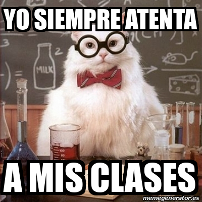 Meme Chemistry Cat - yo siempre atenta a mis clases - 31931630