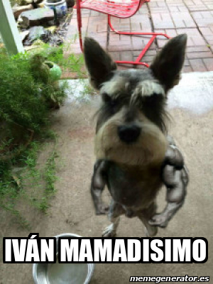 Meme Personalizado - Iván mamadisimo - 31931885