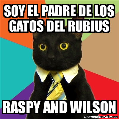 Meme Business Cat - SOY EL PADRE DE LOS GATOS DEL Rubius Raspy AND ...