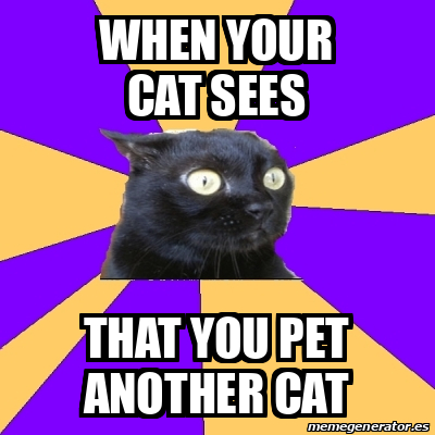 Meme Anxiety Cat - when your cat sees that you pet another cat - 31932203