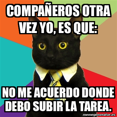 Meme Business Cat - compañeros otra vez yo, es que: no me acuerdo donde ...