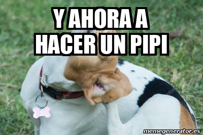 Meme Personalizado - y ahora a hacer un pipi - 31933900