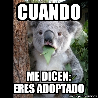 Meme Koala - Cuando Me dicen: eres adoptado - 31934652