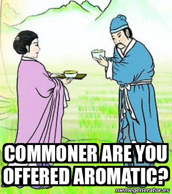 Meme Personalizado - COMMONER ARE YOU OFFERED AROMATIC? - 31935857
