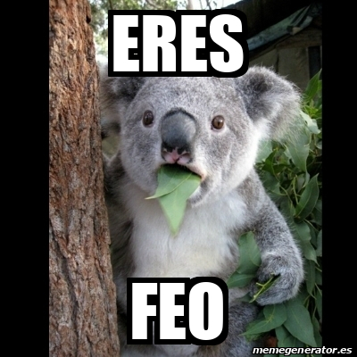 Meme Koala - ERES FEO - 31937021