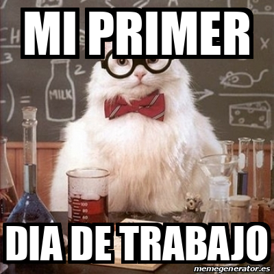 Meme Chemistry Cat - mi primer dia de trabajo - 31937969
