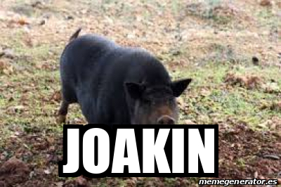 Meme Personalizado - Joakin - 31937971