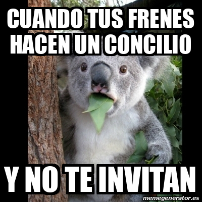 Meme Koala - cuando tus frenes hacen un concilio y no te invitan - 31938554