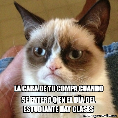 Meme Grumpy Cat - La cara de tu compa cuando se entera q en el día del ...