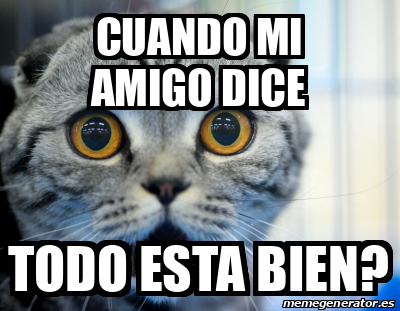 Meme Personalizado - Cuando mi amigo dice todo esta bien? - 31941926