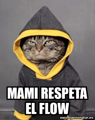 Meme Personalizado - Mami respeta el flow - 31941929