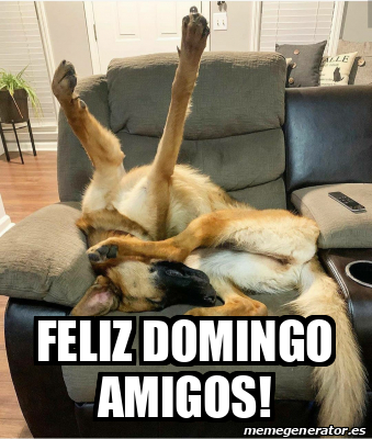 Meme Personalizado - Feliz domingo amigos! - 31943359