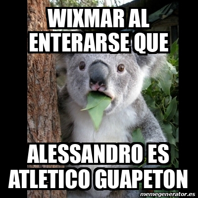 Meme Koala - wixmar al enterarse que alessandro es atletico guapeton ...