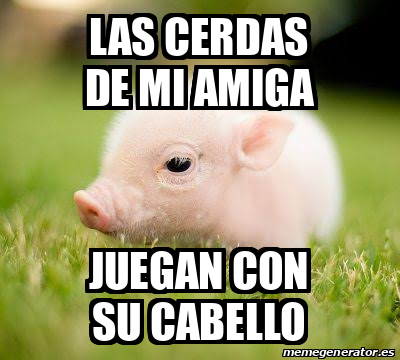 Meme Personalizado - Las cerdas de mi amiga juegan con su cabello ...