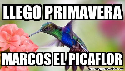 Meme Personalizado - Llego primavera marcos el picaflor - 31945777