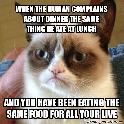 Meme Grumpy Cat - when the human complains about dinner the same thing ...