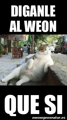 Meme Personalizado - Diganle al weon Que si - 31949662