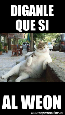 Meme Personalizado - Diganle que si Al weon - 31949674