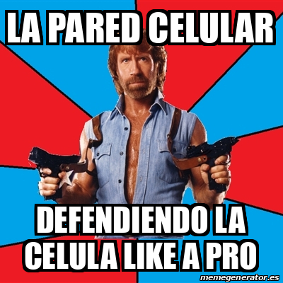 Meme Chuck Norris - LA PARED CELULAR DEFENDIENDO LA CELULA LIKE A PRO ...