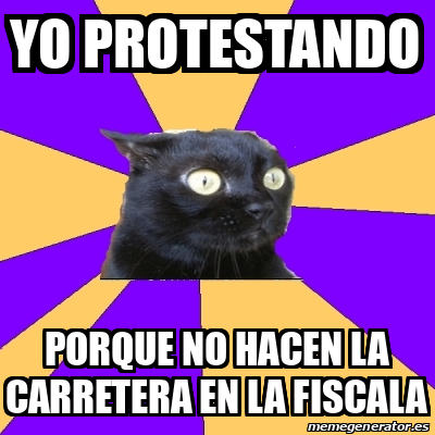 Meme Anxiety Cat - yo protestando porque no hacen la carretera en la ...