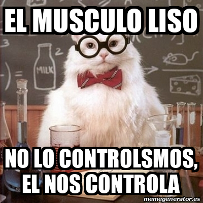 Meme Chemistry Cat - el musculo liso no lo controlsmos, el nos controla ...