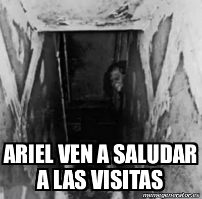 Meme Personalizado - Ariel ven a saludar a las visitas - 31959112