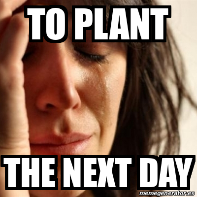 Meme Problems - to plant the next day - 31959141