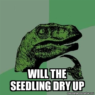 Meme Filosoraptor - will the seedling dry up - 31959350