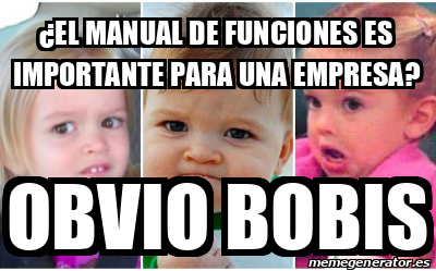 Meme Personalizado - ¿el manual de funciones es importante para una ...