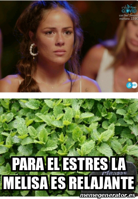 Meme Personalizado - Para el estres La Melisa es Relajante - 31973742