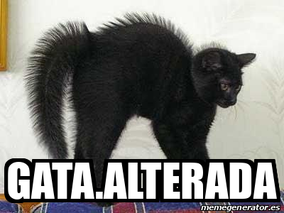Meme Personalizado - gata.alterada - 31974954