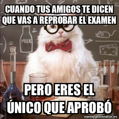 Meme Chemistry Cat - cuando tus amigos te dicen que vas a reprobar el ...