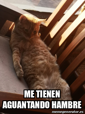 Meme Personalizado - Me tienen aguantando hambre - 31980896