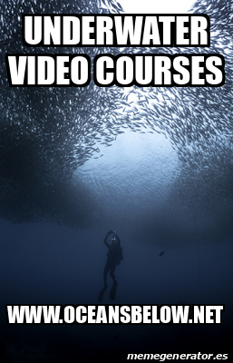 Meme Personalizado - Underwater Video Courses www.oceansbelow.net ...