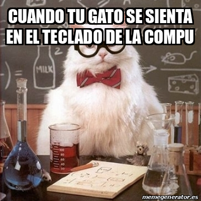 Meme Chemistry Cat - CUANDO TU GATO SE SIENTA EN EL TECLADO DE LA COMPU ...