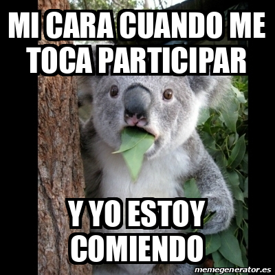 Meme Koala - mi cara cuando me toca participar y yo estoy comiendo ...
