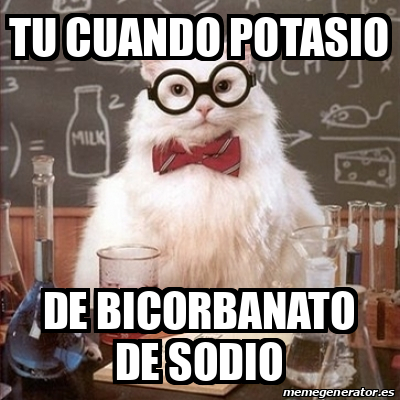 Meme Chemistry Cat - Tu cuando potasio de bicorbanato de sodio - 31996477